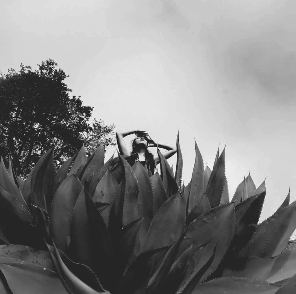 ¡Llegaron las compartidas de la semana! - Revista Cuartoscuro