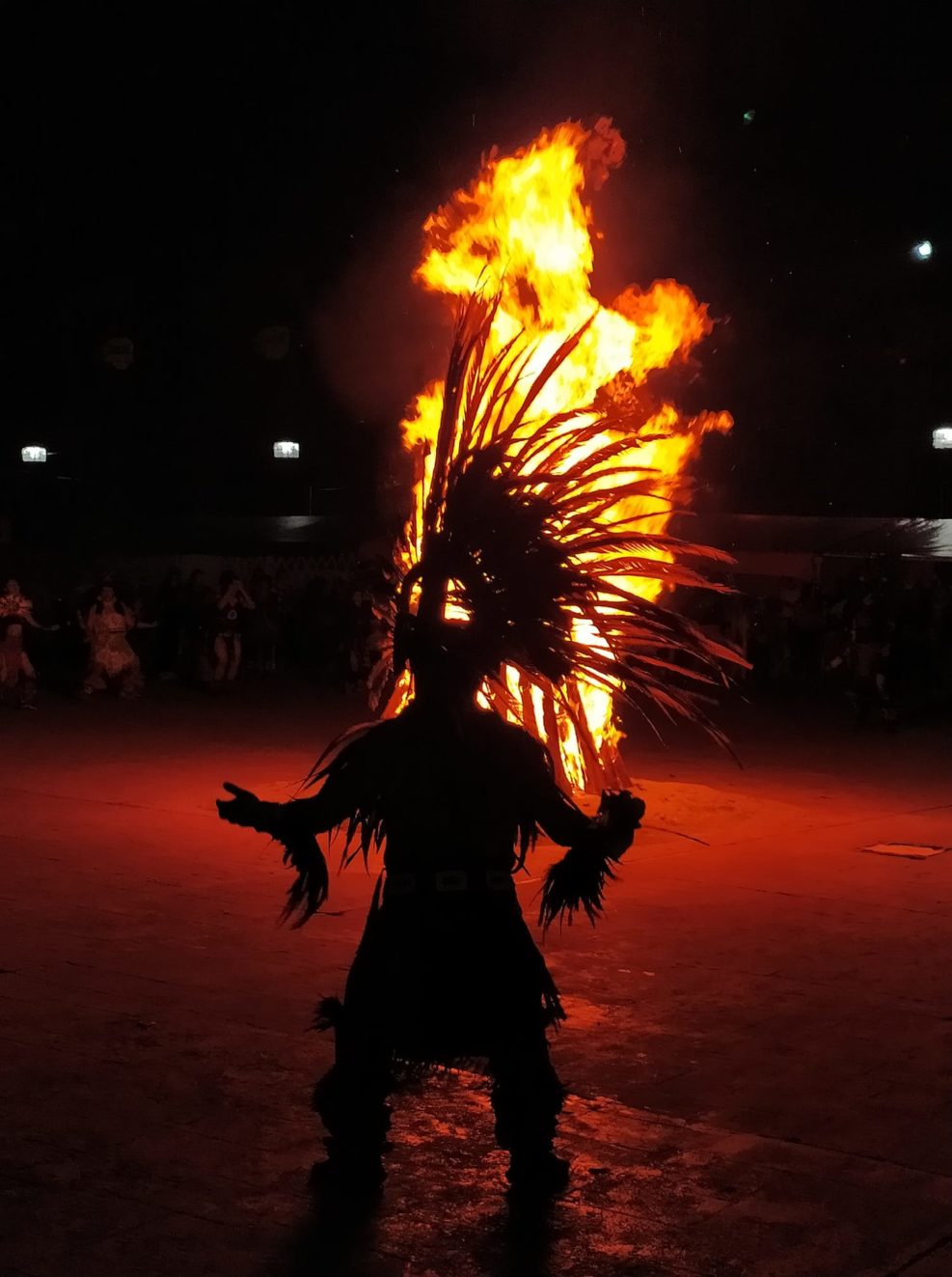 ¡Llegaron las compartidas de la semana! - Revista Cuartoscuro